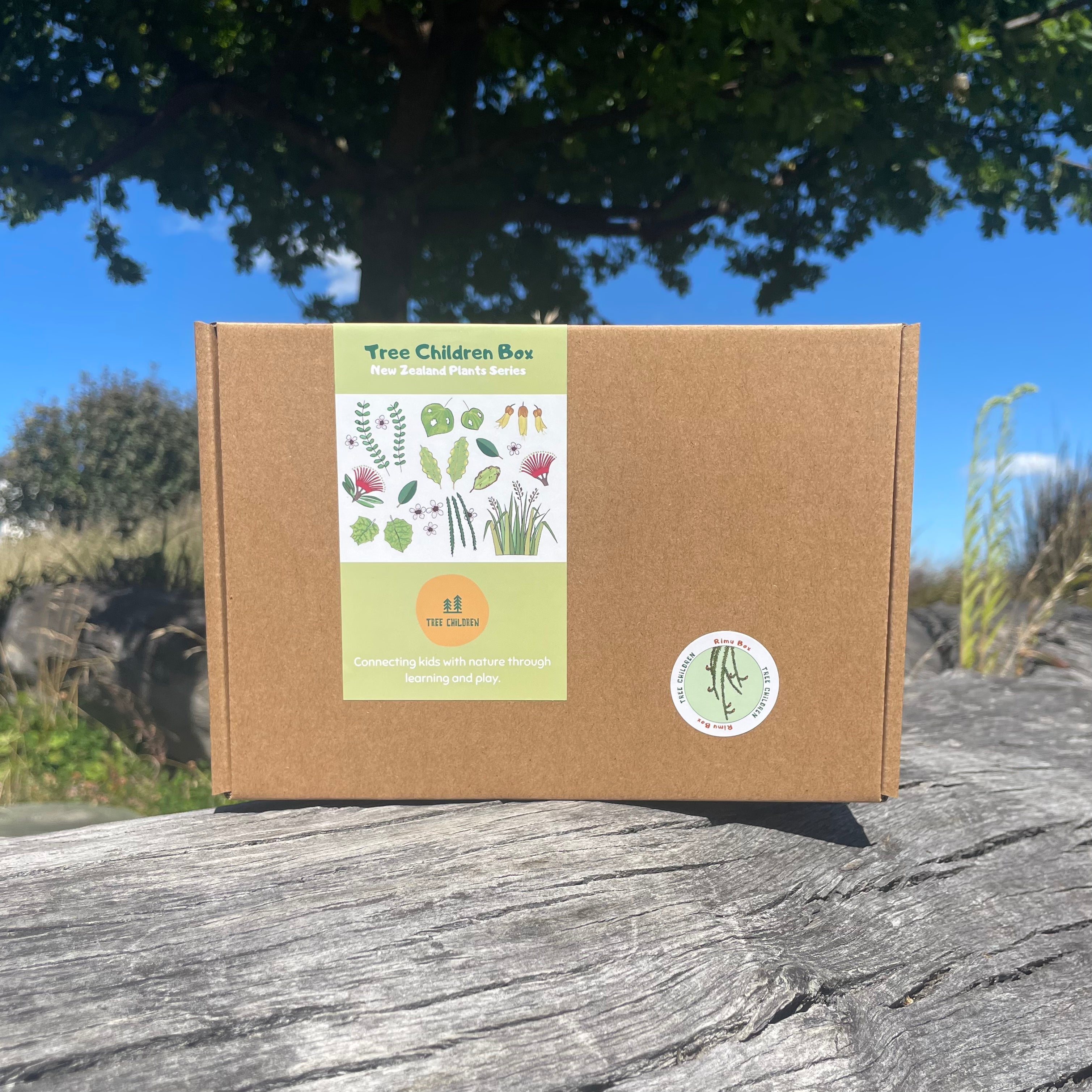 Tree Children Box | Nature & Science Activity Box from NZ